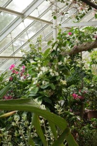 The Historic Lyman Estate and Greenhouses in Massachusetts ...